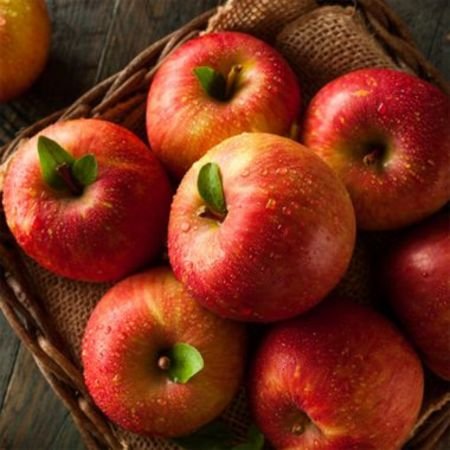 Fresh Fuji Apples - Visagie Agro Trading Limited